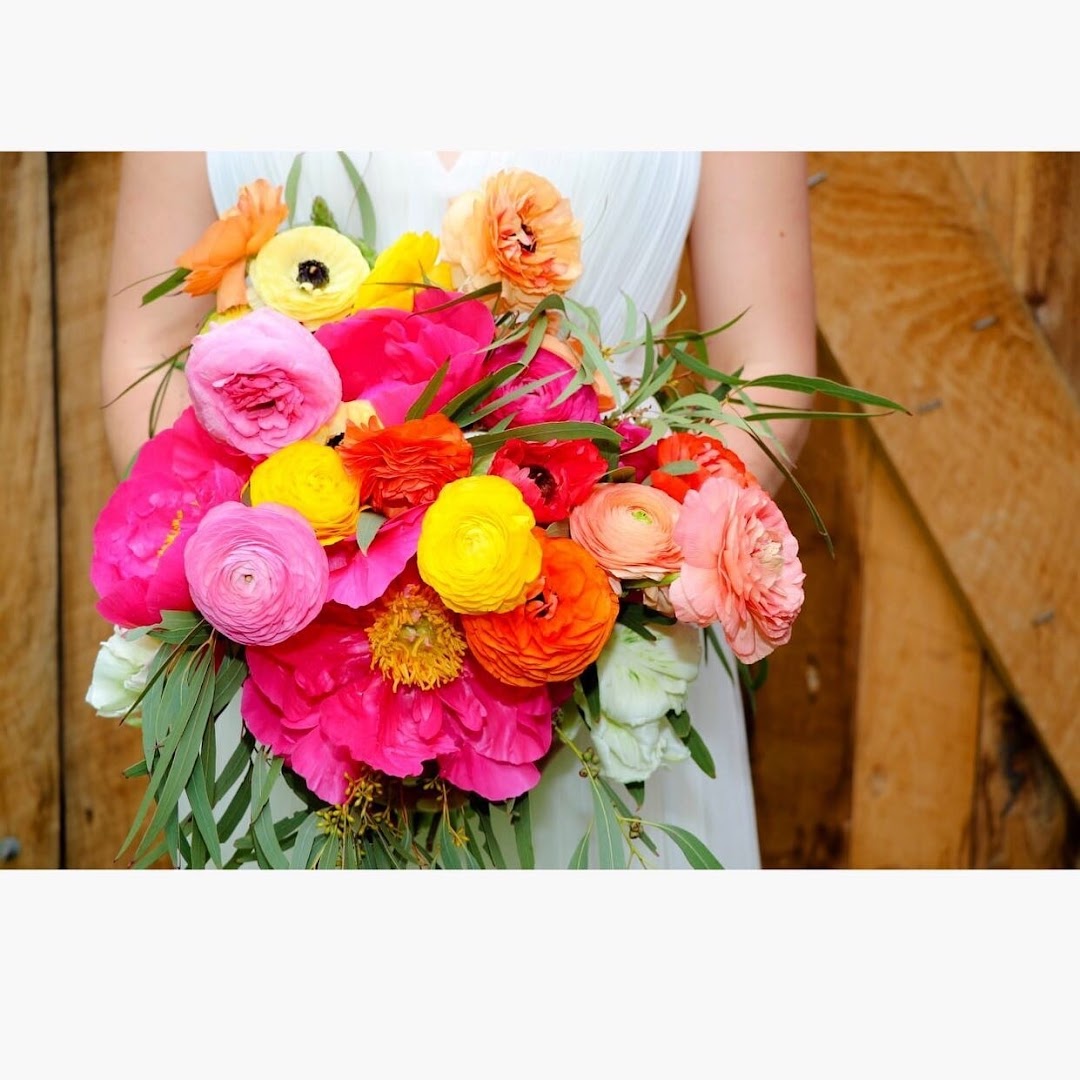 Emily Broome Photography