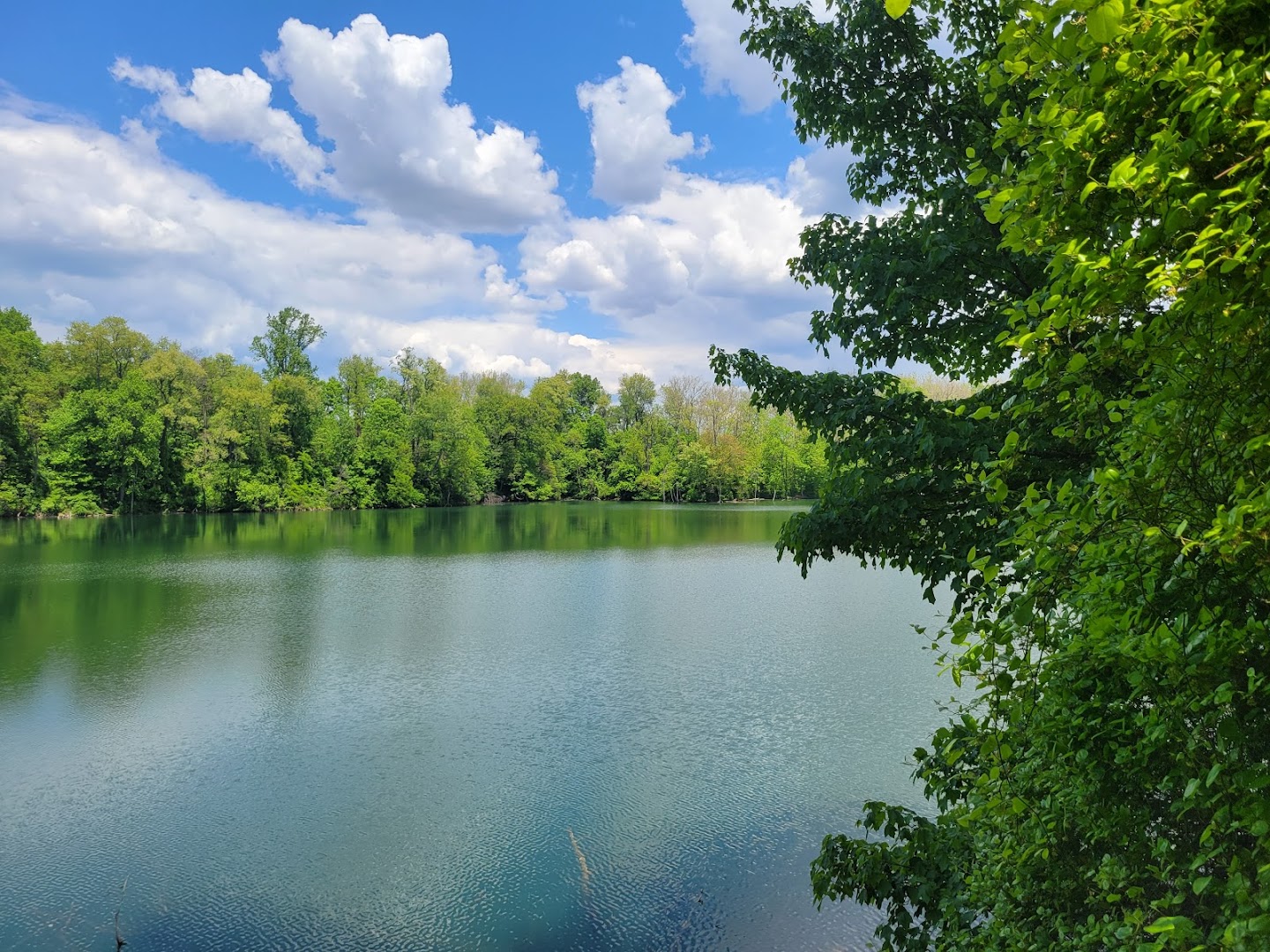 Lake Grubb Nature Park Lake Grubb Nature Park