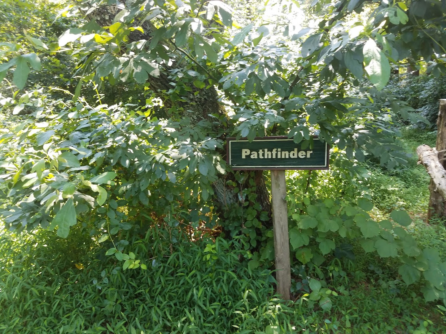 Pathfinder Campsite